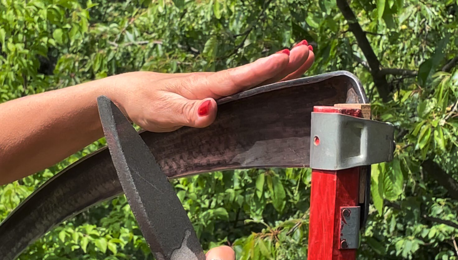 was haben Geigespielen mit Sensenmähen gemeinsam? | die-Sensenlehrerin